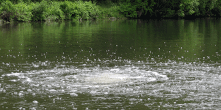 DIFFUSER UNITS – Scanship official Partner of Kasco Marine